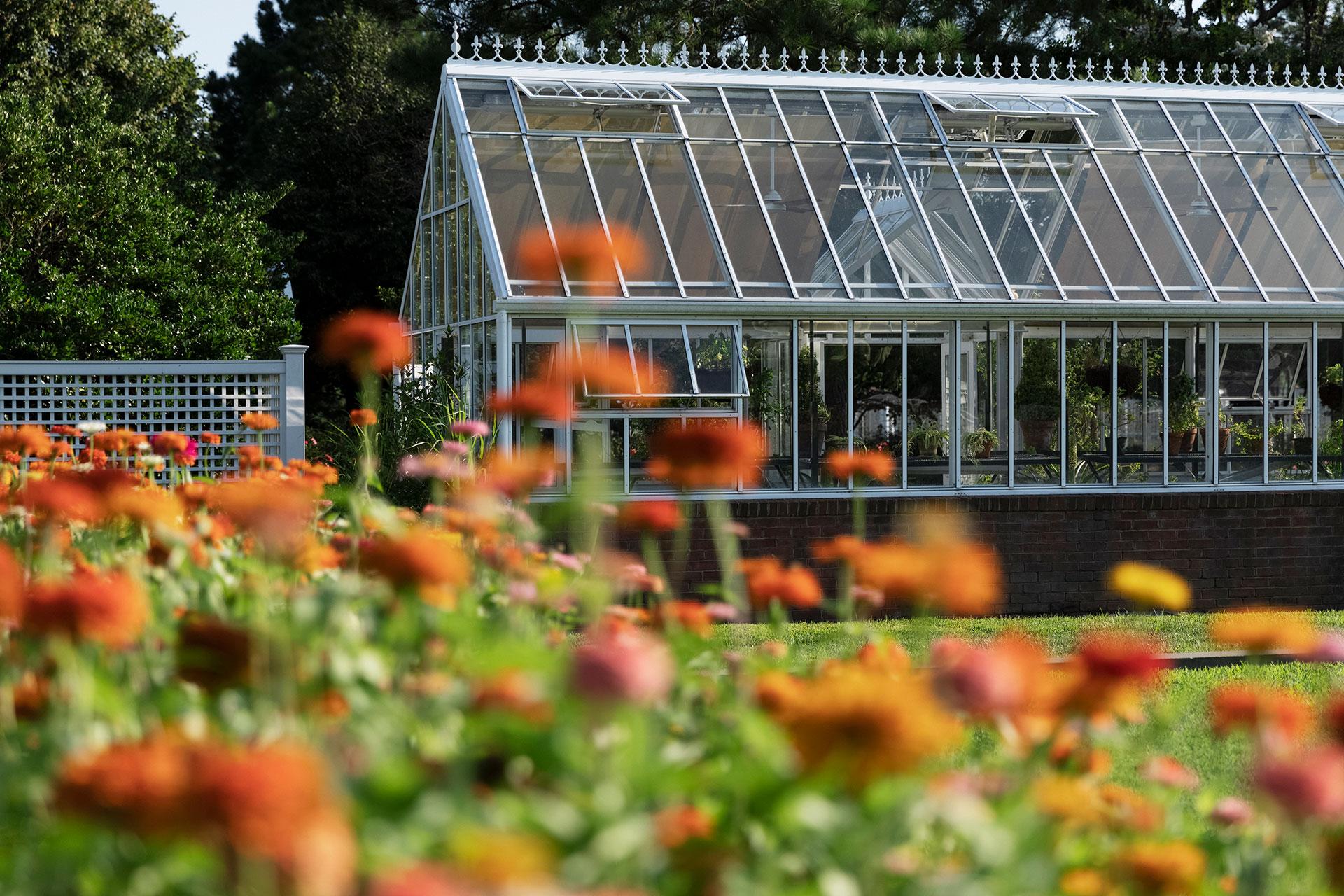 Gallery | Inn at Perry Cabin